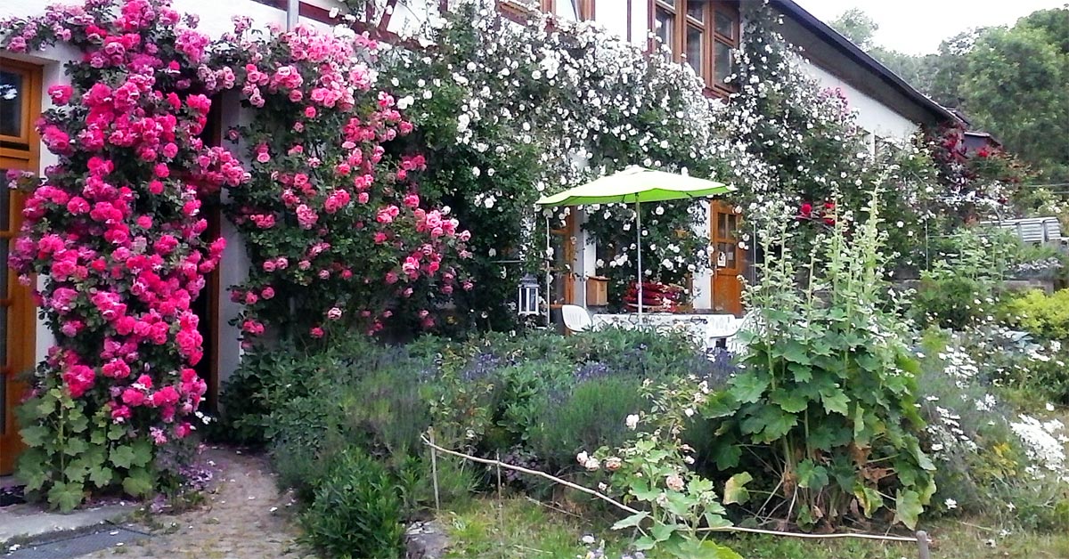 Parimal inside - Parimal